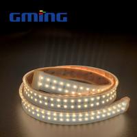 China Waterproof Casing Drip SMD 2835 LED Strip Light Outdoor Use 120 Lamp for sale