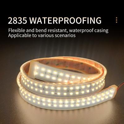 China Waterproof Casing Drip SMD 2835 LED Strip Light Outdoor Use 120 Lamp for sale