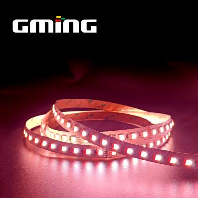 China Remote control SMD 5050 RGB LED Strip Colorful SMD Flexible LED Strip Lights for sale