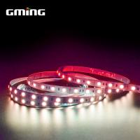 China Low Voltage Magic Color 5050 Rgb Led Strip 12V 24V Waterproof for sale