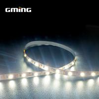 China Outdoor Use 2835 Led Strip Lights Waterproof Remote Control for sale