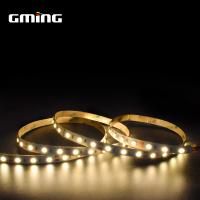 China Outdoor 12V 24V SMD 5050 LED Strip Light With Silicon Rubber Tube for sale