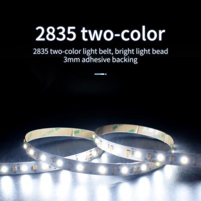 China Escalator SMD 2835 LED Strip Belt Outdoor Indoor Lighting 12V 24V for sale