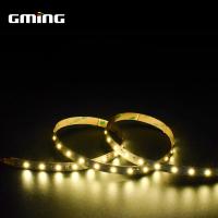China Escalator SMD 2835 LED Strip Belt Outdoor Indoor Lighting 12V 24V for sale