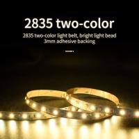 China IP30 12V 24V Neon SMD 2835 LED Strip Band Dual Color Temperature for sale