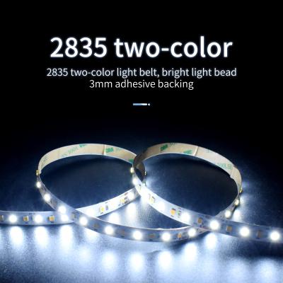 China 12V 24V Neon 12W Low Voltage LED Light With Intelligent Light Belt for sale