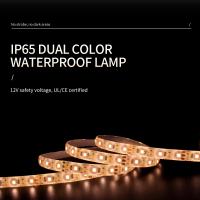 China Adhesive Dripping 6W Smd 2835 Led Strip Waterproof for sale