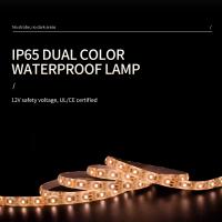 China 6W Smd 2835 Led Strip 12v 24v Low Voltage Lamp for sale