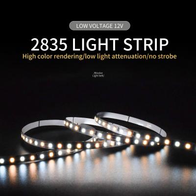 China CE Certificate Led Strip 2835 Smd Outdoor Lighting Dual Color Temperature 120 Beads for sale