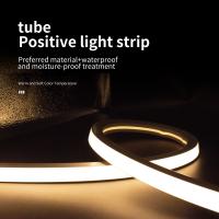 China Neon Silicone Sleeve SMD 2835 LED Strip Light 12V 24V Low Voltage for sale