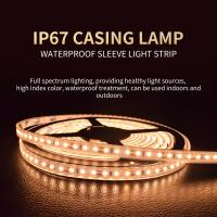 China Underwater Surface Mount Led Strip Lights With Waterproof Casing for sale