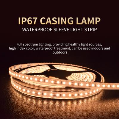 China Underwater Surface Mount Led Strip Lights With Waterproof Casing for sale