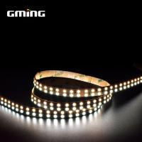 China Super Bright LED Line Light Double Row 240 Bead Low Voltage Indoor use for sale