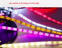 China Double Sided SMD 3528 LED Strip Light 120 Leds / M Decorative Lighting DC12V/24V for sale