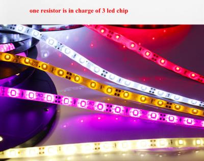 China Double Sided SMD 3528 LED Strip Light 120 Leds / M Decorative Lighting DC12V/24V for sale