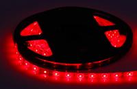 China High CRI 95 5M Ribbon Led Light Strip 240 LEDs / M 5500K 3528 Copper Material for sale