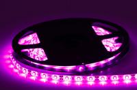 China Remote Controller SMD 3528 LED Strip Light Cct Adjustable Rgb 60 Led / M 24V for sale