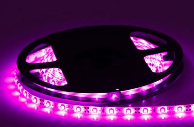 China Remote Controller SMD 3528 LED Strip Light Cct Adjustable Rgb 60 Led / M 24V for sale