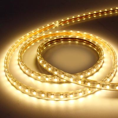 China 12v/24v SMD LED Flexible Strips Copper Lamp Body 3528/5050 IP/20/65/67/68 for sale