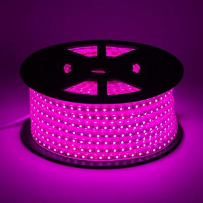 China Copper Material Color Changing Led Strip 96 LEDs / M 5500K 3528 High CRI 95 5M Ribbon for sale