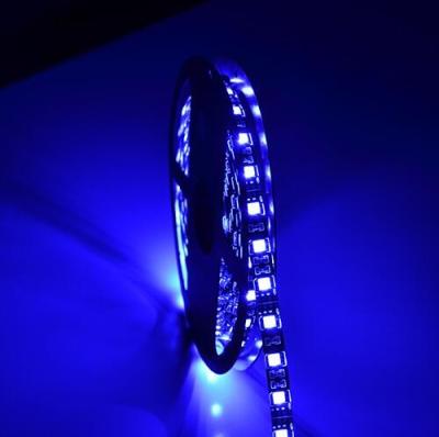 China 4 In 1 SMD 5050 LED Strip Light 98 LEDs/ M Copper Lamp Body 3 Years Warranty for sale