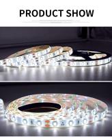 China Foldable SMD 3528 LED Strip Light 60 Leds M DC 24V LED Decoration Rope Lamp for sale