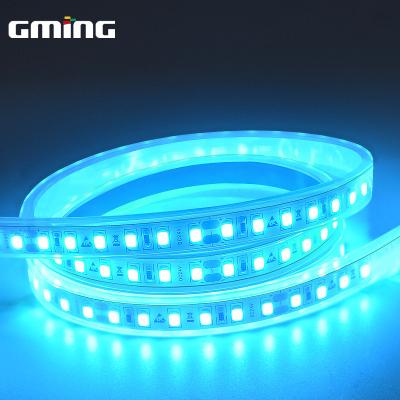 China 120º Beam IP68 12W 60LEDs/m 460nm SMD Led Strip Lights for sale