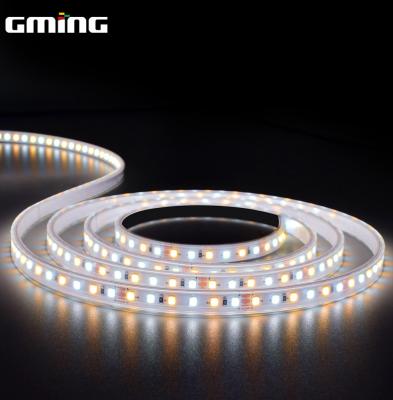 China 5M 60Leds/M IP20 12W 1190lm Flexible 2835 LED Strip for sale