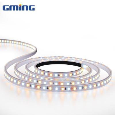 China 12/24VDC IP20 8mm Pcb 1190lm 12W SMD 2835 LED Strip for sale