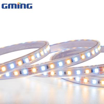 China IP20 SMD 2835 590-650lm 6W Color Changing Led Strips for sale