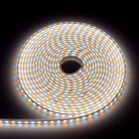 China Waterproof IP65 630nm 12W 60leds/m SMD RGB LED Strip Light for sale