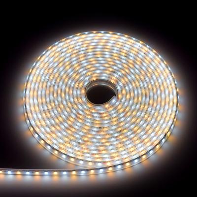 China Waterproof IP65 630nm 12W 60leds/m SMD RGB LED Strip Light for sale