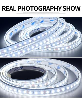 China 2200-6500K IP20 2Oz PCB 1850lm 16W SMD 2835 LED Strip for sale