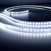China 1600lm 120LEDs/M 2835 24V 12W Color Changing LED Strip for sale
