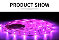 China high quality 6W SMD 5050 LED Strip Light 50000 Hours Lifetime 620-630nm for sale