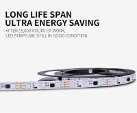 China 6W IP20 30leds/M SMD5050 Flexible LED Strip 12/24VDC for sale