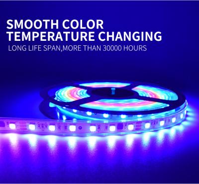 China 12W DC24V 5M 300Leds 14x26mm Flexible LED Strip Light for sale