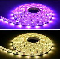 China 14x26mm IP20 6W SMD 5050 LED Strip Light For Decoration for sale