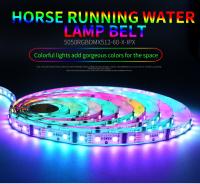 China 60LEDs 12W Waterproof SMD5050 LED Strip UCS DMX512-16 for sale