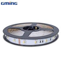 China IP20 IP65 IP67 IP68 waterproof high quality led strip DC12V/24V 30 leds 5050 RGBW LED strip outdoor display for sale