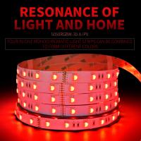 China IP20 IP65 IP67 IP68 waterproof high quality led strip DC12V/24V 30 leds 5050 RGBW LED strip outdoor display for sale