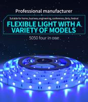China 12/24VDC 270-300lm 14.4W Programmable LED 5050 RGB Light for sale
