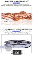 China DC 24V SMD 5050 LED Strip Light LED Ribbon Lights 2 Ounces Double Layer Copper for sale
