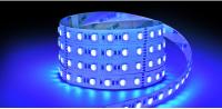 China 6mm SMD 5050 LED Strip Light / High Luminance Small LED Light Strips for sale