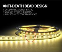 China Flexible RGBWW 463nm 570lm 28W SMD 5050 LED Strip Light for sale