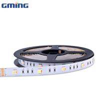 China Waterproof 12W 12/24V 1903IC 463nm SMD 5050 LED Strip Light for sale