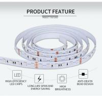 China wide viewing angle 9.6W RGB 12V DC SMD 5050 LED Strip Light For Decoration for sale