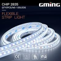 China 1600lm 120LEDs/M 2835 24V 12W Color Changing LED Strip for sale