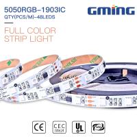 China Remote Control 5050RGB 1903IC Dimmable SMD LED Strip 9.6W for sale