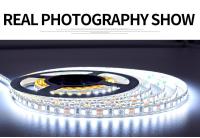 China 12/24VDC Ip68 16W 120leds/m Underwater RGB LED Strip 630nm for sale